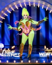 Ava Pocket | RuPaul's Drag Race Wiki | Fandom