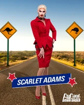Scarlet Adams | RuPaul's Drag Race Wiki | Fandom