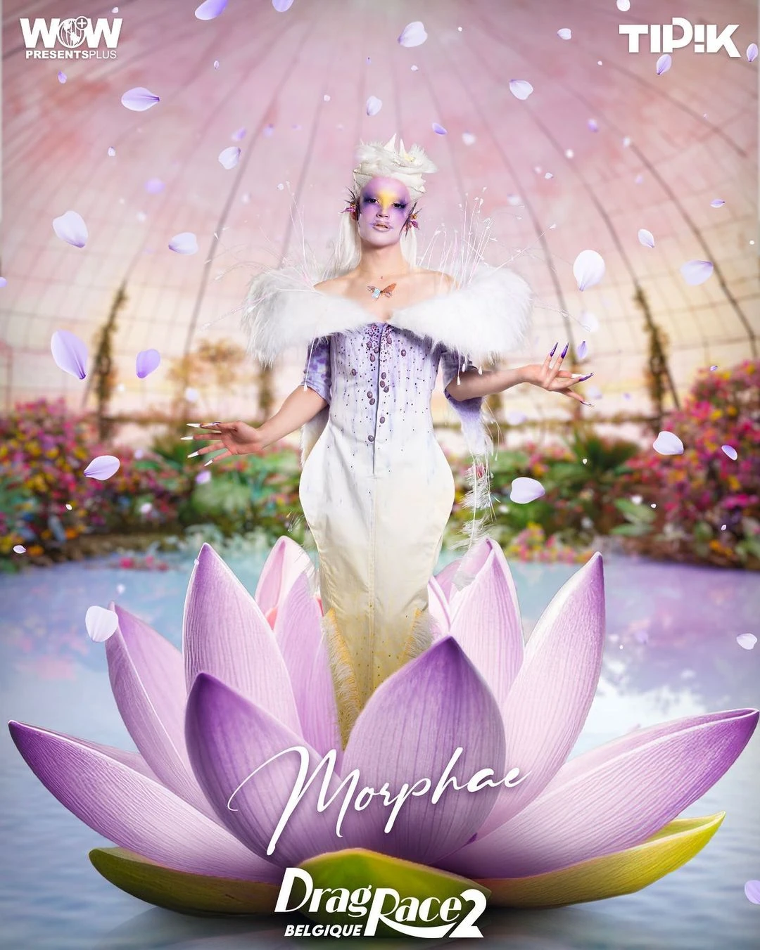 Morphae | RuPaul's Drag Race Wiki | Fandom