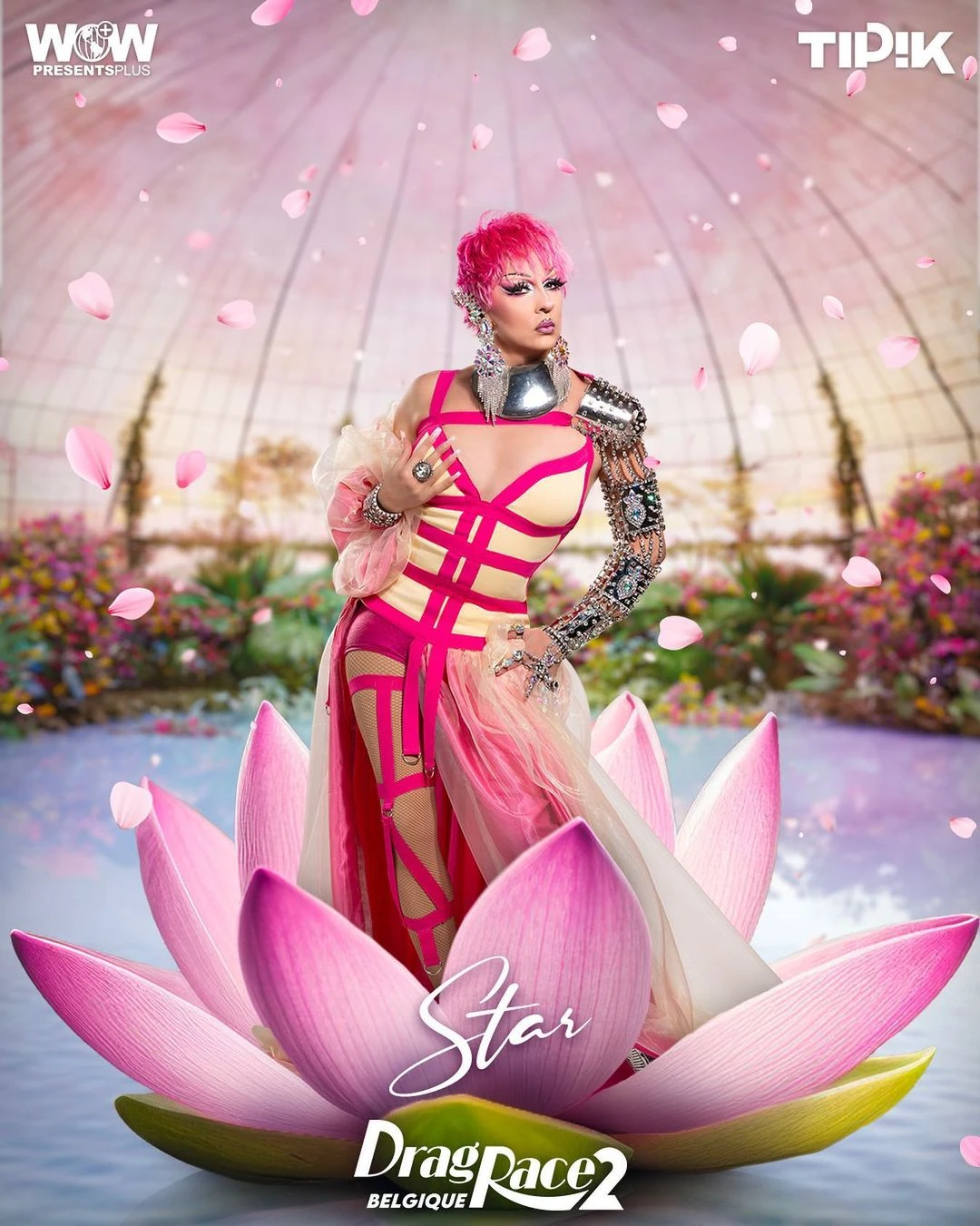 Star | RuPaul's Drag Race Wiki | Fandom