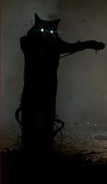 Tacgnol | Lol Wiki | Fandom