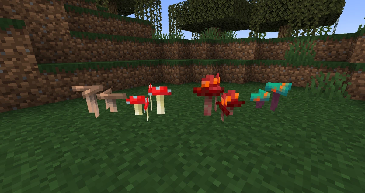 Mushroom Clusters | Lolberry Mods Wiki | Fandom