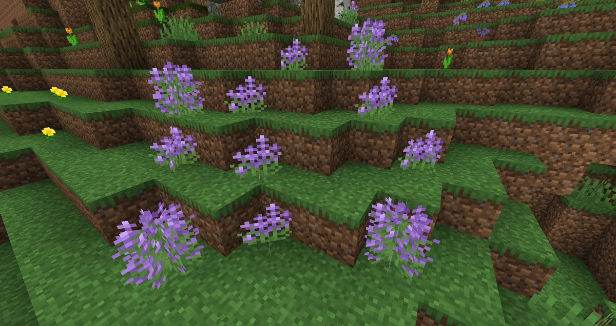 Lavender | Lolberry Mods Wiki | Fandom