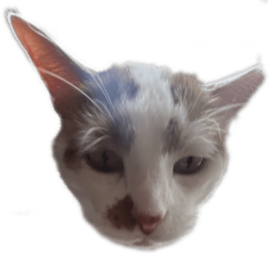 Fatcat's Fatties - Leaguepedia | League of Legends Esports Wiki