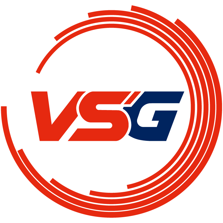 VSG (Korean Team) - Leaguepedia | League of Legends Esports Wiki