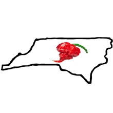 Carolina Reapers - Leaguepedia | League of Legends Esports Wiki