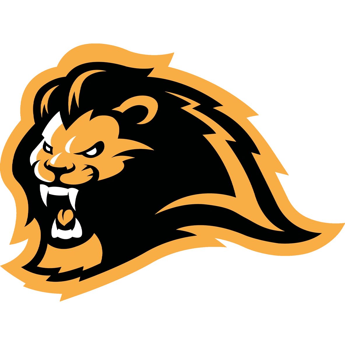 Lyon Gaming (2013 Latin American Team) - Leaguepedia | League of Legends Esports Wiki