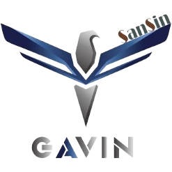 Sansin Gavin - Leaguepedia | League of Legends Esports Wiki