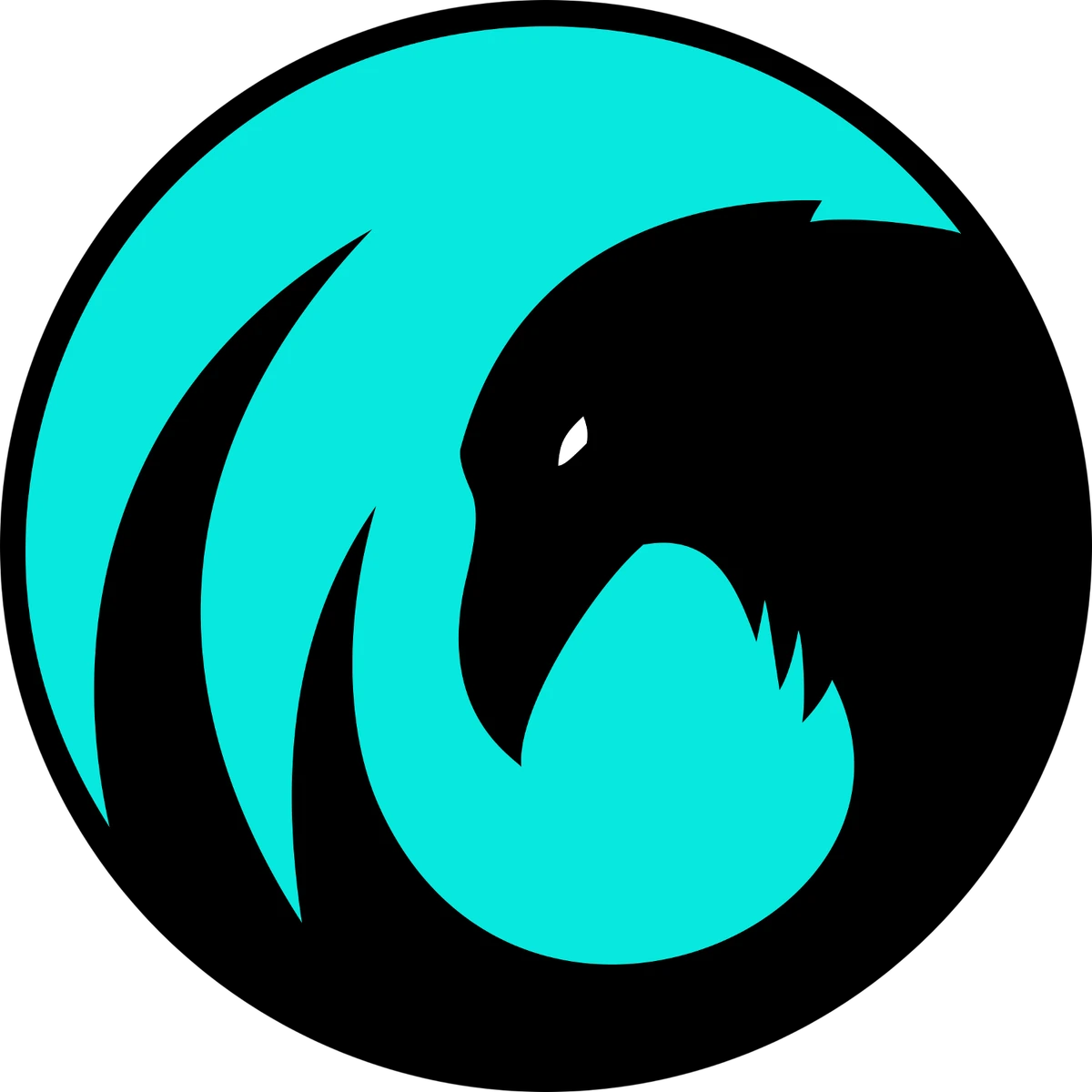 CrowCrowd - Leaguepedia | League of Legends Esports Wiki
