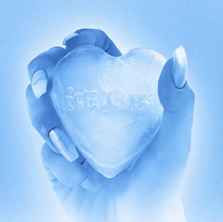 Ice Cube | Lolo Zouaï Wiki | Fandom