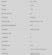 Deep Fancy Island | Lomando Wiki | Fandom