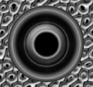 Onomureiminem.html | Lomando Wiki | Fandom