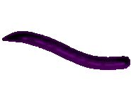 Guardi Eye | Lomando Wiki | Fandom