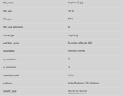 Deep Fancy Island | Lomando Wiki | Fandom