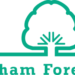 London Borough Of Waltham Forest Logo Untitled | London Borough Of