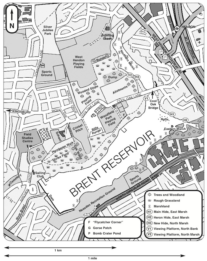 Brent Reservoir | London Bird Club Wiki | Fandom