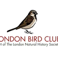 July 2021 | London Bird Club Wiki | Fandom