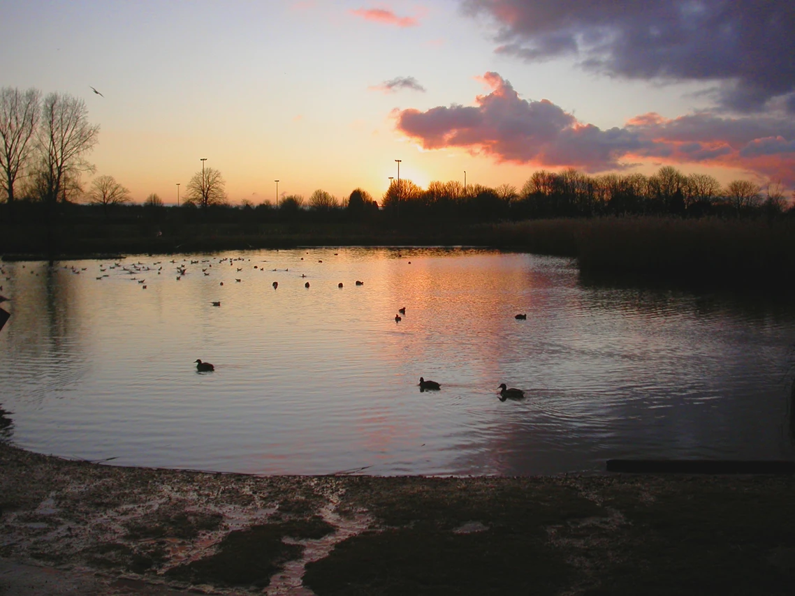 Sutcliffe Park | London Bird Club Wiki | Fandom