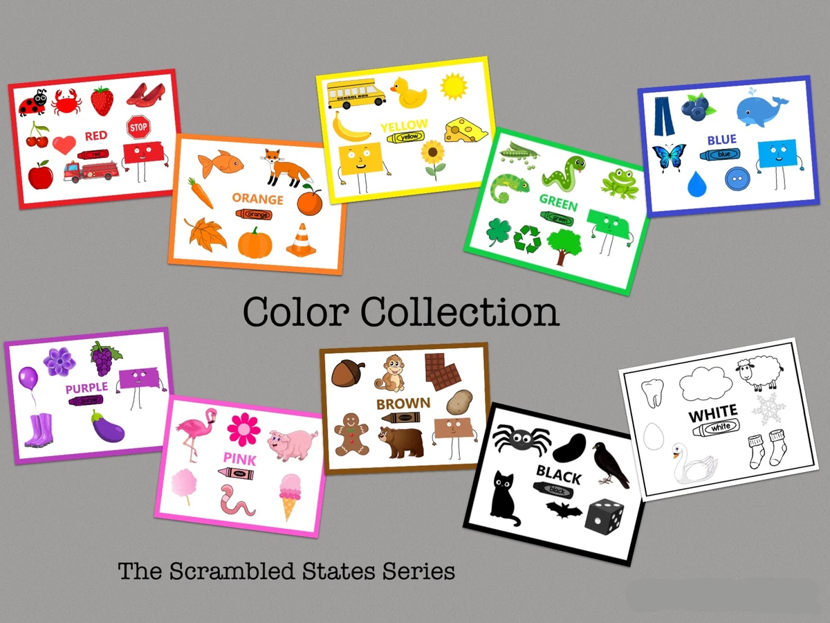 Color Clipart Set | Scrambled States of America Fanart Wiki | Fandom