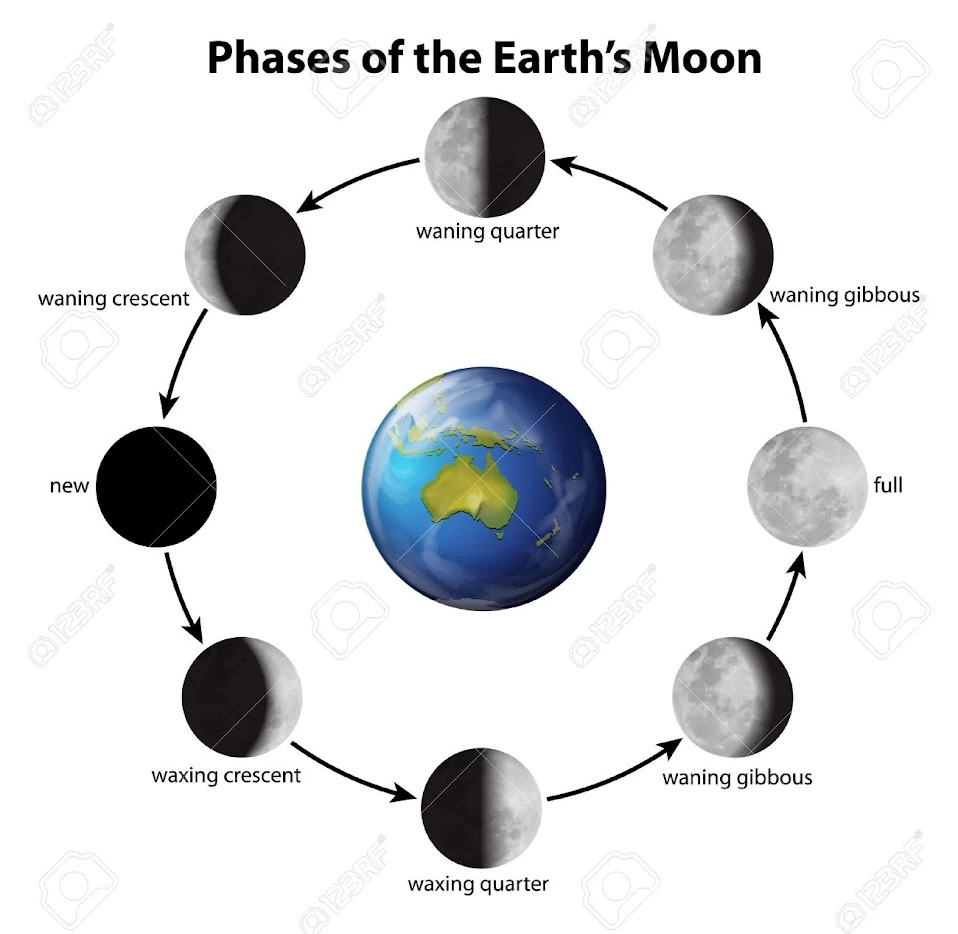 Phases of the Moon | Scrambled States of America Fanart Wiki | Fandom