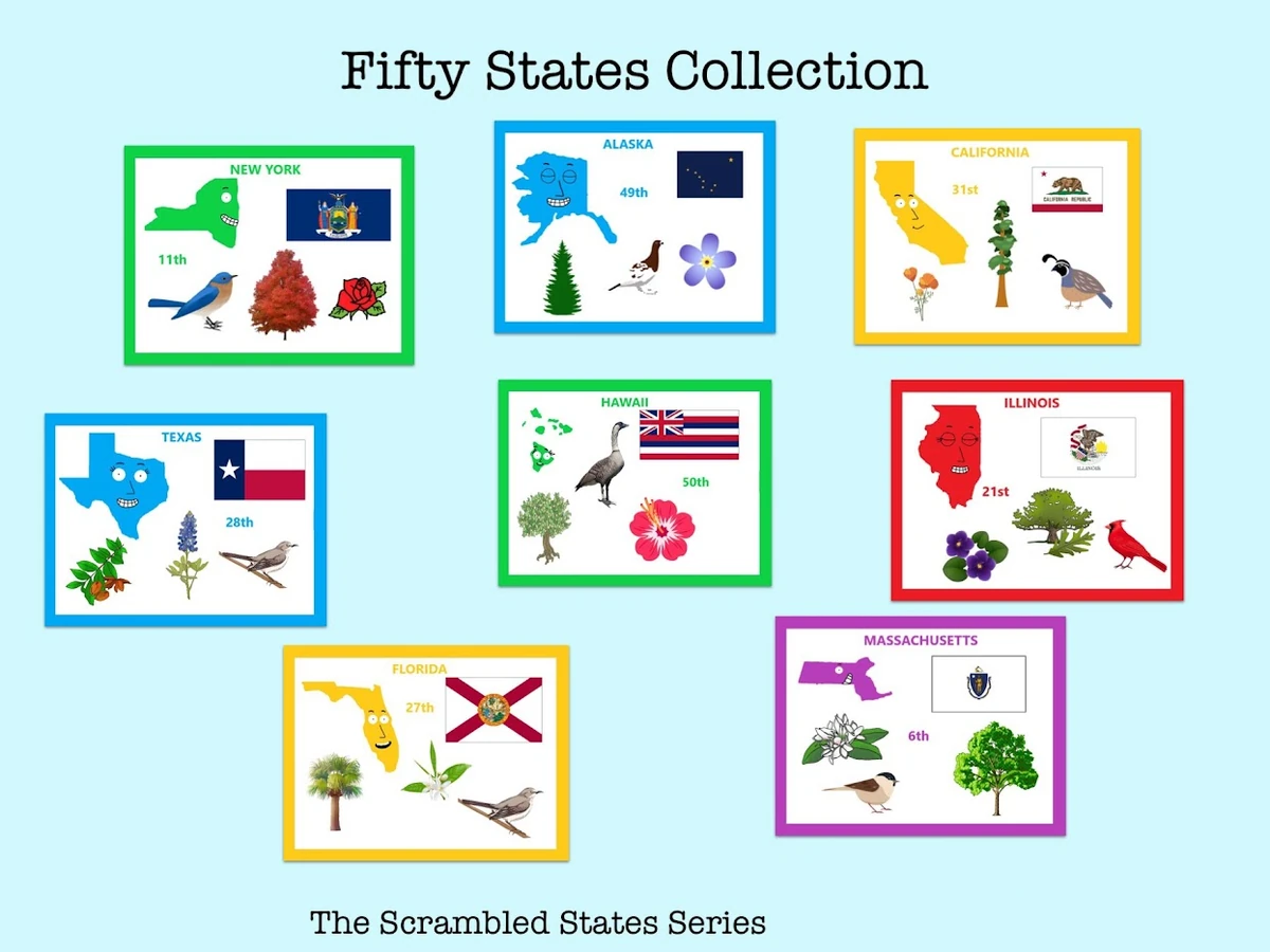 Fifty States Collection | Scrambled States of America Fanart Wiki | Fandom