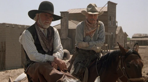Woodrow F. Call | Lonesome Dove Wiki | Fandom