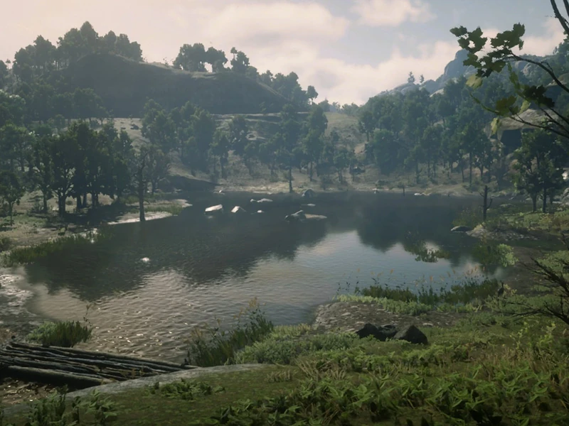 Elysian Pool | Lone Star Rp Wiki | Fandom