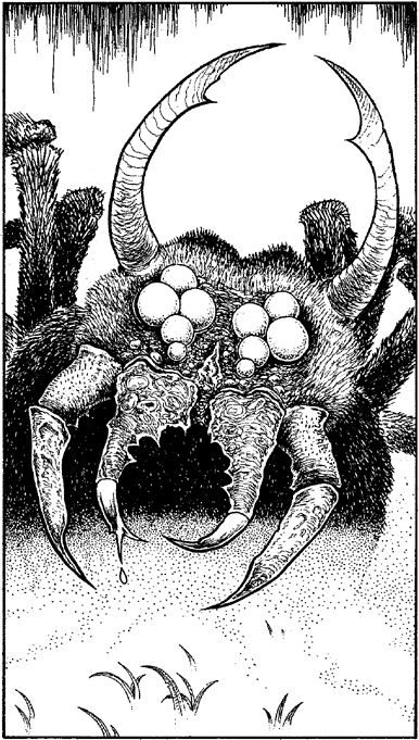 Taan-spider | Lone Wolf | Fandom