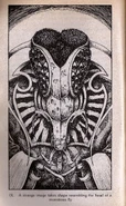 Gary Chalk | Lone Wolf | Fandom
