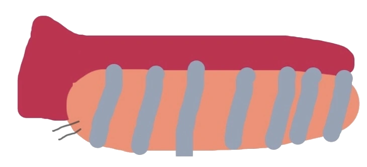 Krimp | Long Journey Wiki | Fandom