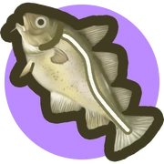 Cod (raw) | Longvinter Wiki | Fandom
