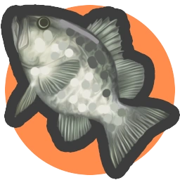 Black Grouper | Longvinter Wiki | Fandom
