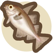 Haddock (raw) | Longvinter Wiki | Fandom