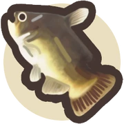 Catfish (raw) | Longvinter Wiki | Fandom