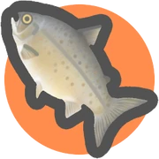 Salmon (raw) | Longvinter Wiki | Fandom