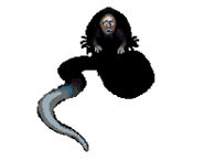 Olm | Look Outside Wiki | Fandom