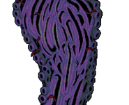 Sam | Look Outside Wiki | Fandom