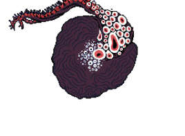 Jasper | Look Outside Wiki | Fandom