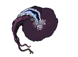 Aster | Look Outside Wiki | Fandom