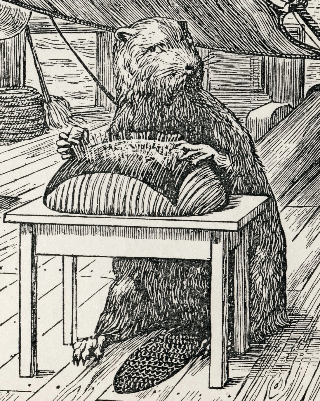 Beaver | Wonderland Wiki | Fandom