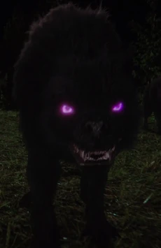 Mome Raths (Once) | Wonderland Wiki | Fandom