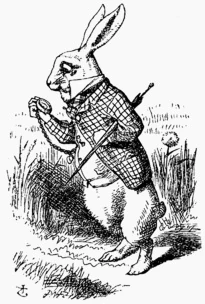 White Rabbit | Wonderland Wiki | Fandom