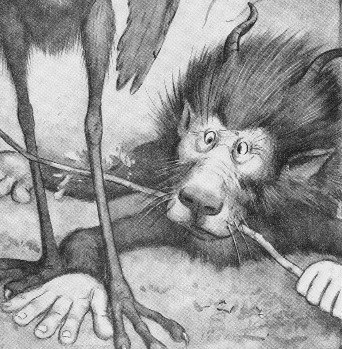 Bandersnatch | Wonderland Wiki | Fandom