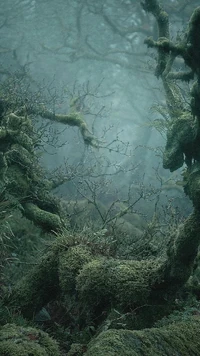 Tanglewood Forest | Loomingevil Wiki | Fandom