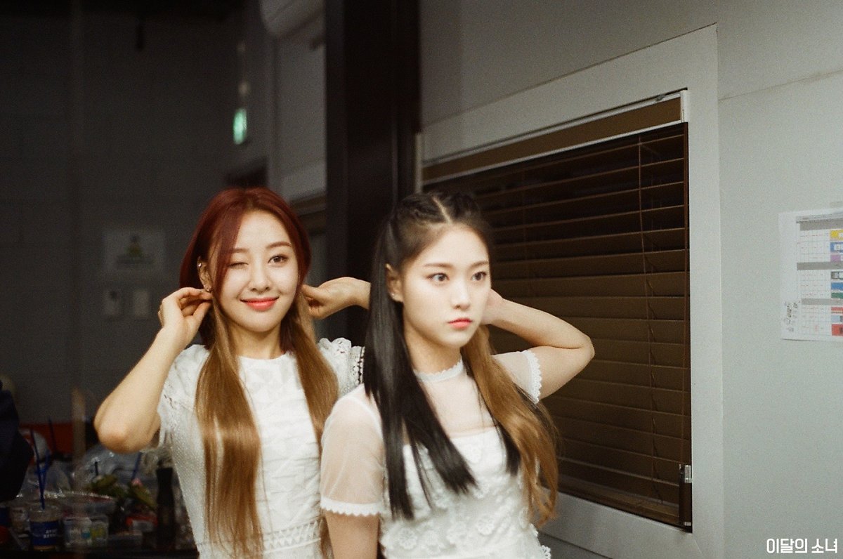 Hyunves LooΠΔ Wiki Fandom