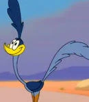 Road Runner | Looney Tunes Cartoons Wiki | Fandom