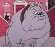 Hector the Bulldog | Looney Tunes Wiki | Fandom