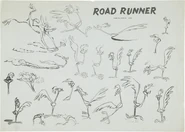 Road Runner/Gallery/Model Sheets and Style Guides | Looney Tunes Wiki ...