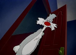 Cat Scary Looney Tunes WB Kids
