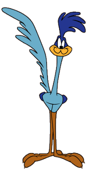 Road Runner | Looney Tunes Wiki | Fandom